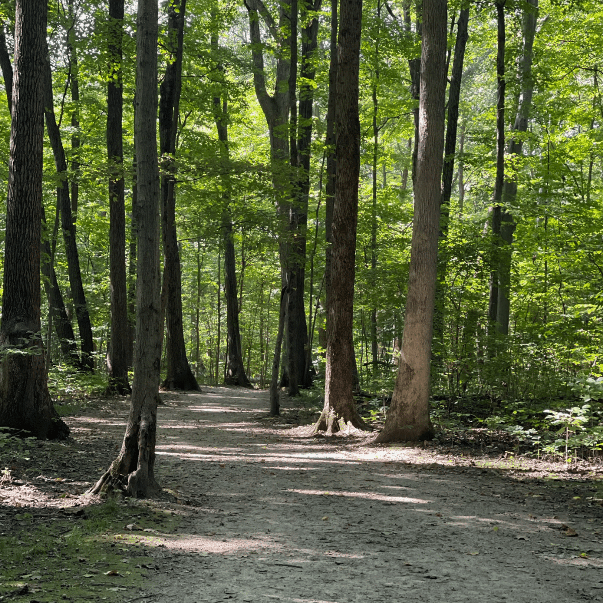 Blendon Woods - Visit Ohio Today