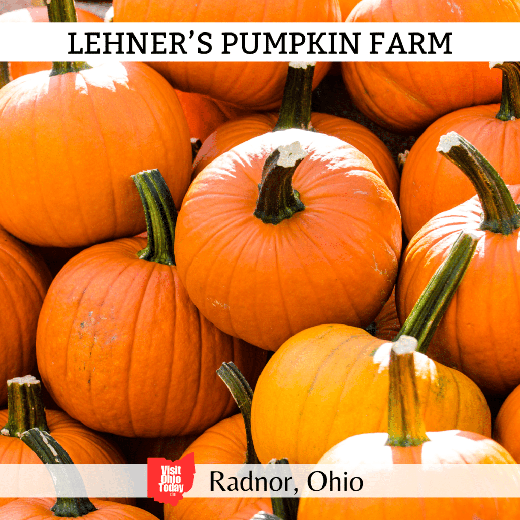 Pumpkin Patches in Ohio (Updated 2024) - Visit Ohio Today