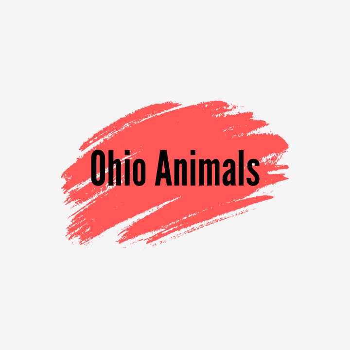 Gilboa Quarry - Visit Ohio Today