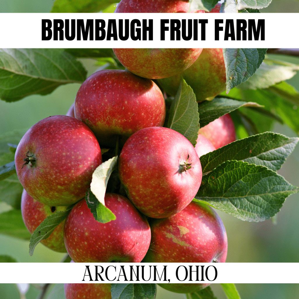 Brumbaugh Fruit Farm - Visit Ohio Today