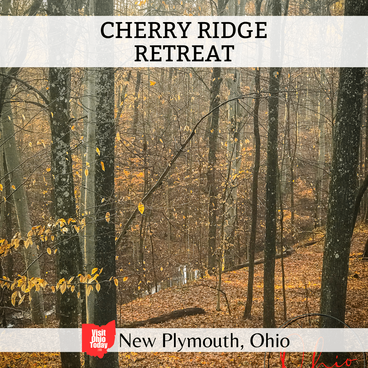 Ohio Caverns - Visit Ohio Today
