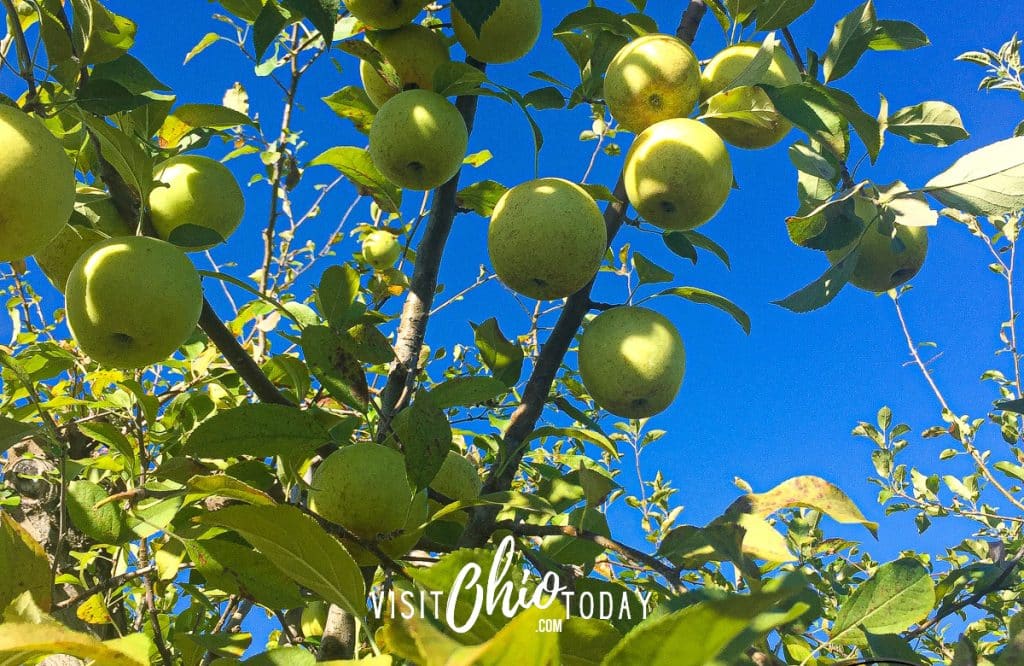 Lynds Fruit Farm - Visit Ohio Today