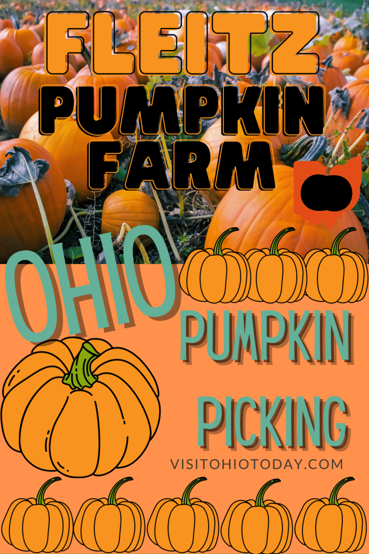 Fleitz Pumpkin Farm - Visit Ohio Today