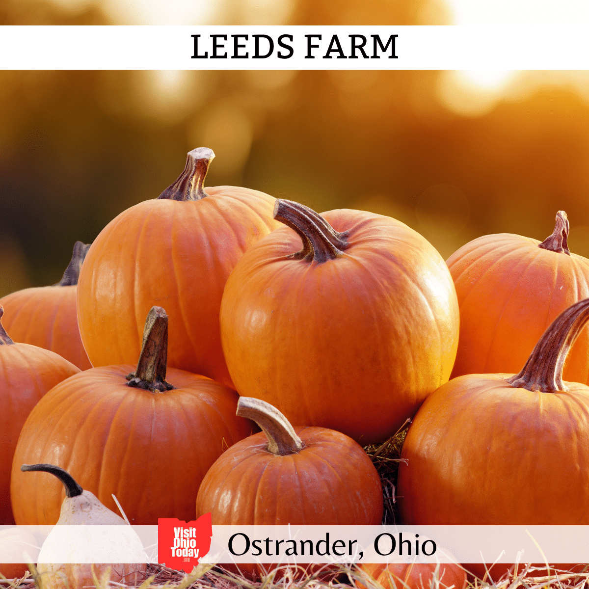 Leeds Farm - Visit Ohio Today