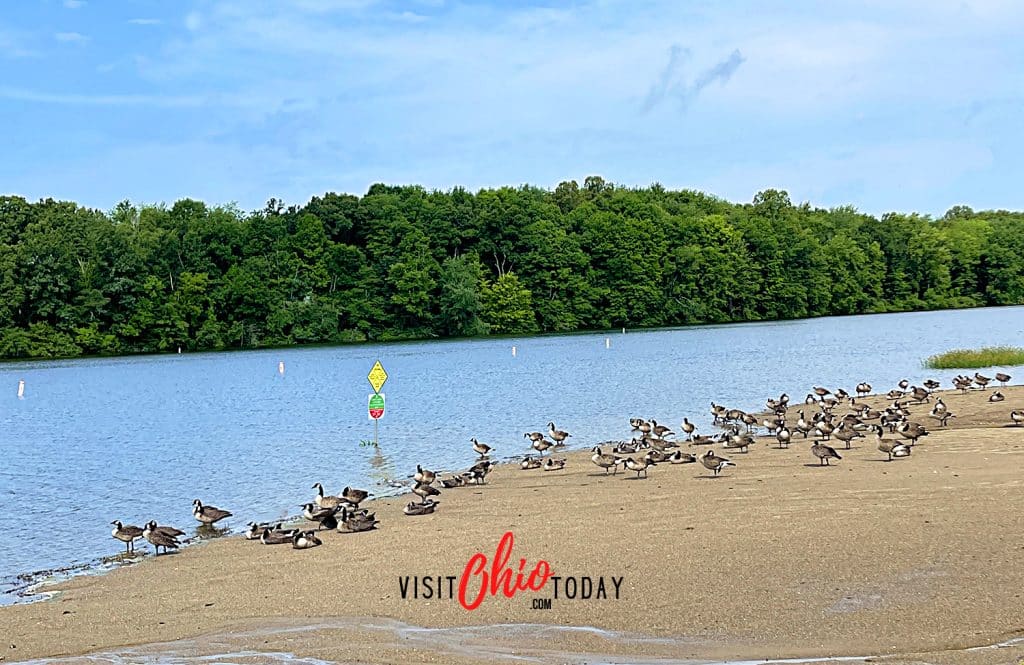 Lake Logan Marina - Visit Ohio Today