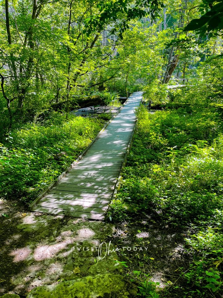 Yellow Springs Hiking - 2024 Beautiful Ohio Hiking - Visit Ohio Today