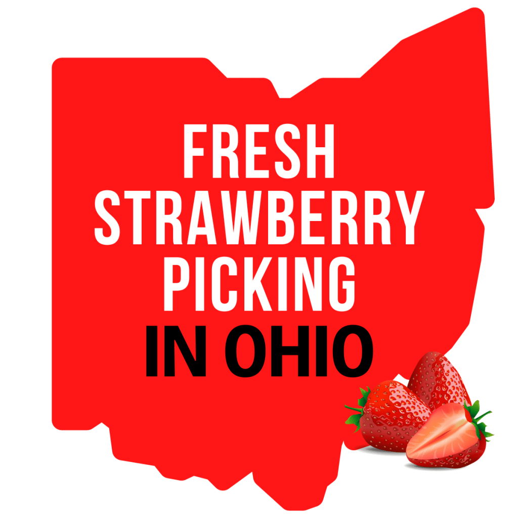 Things To Do In Springfield Ohio - Visit Ohio Today