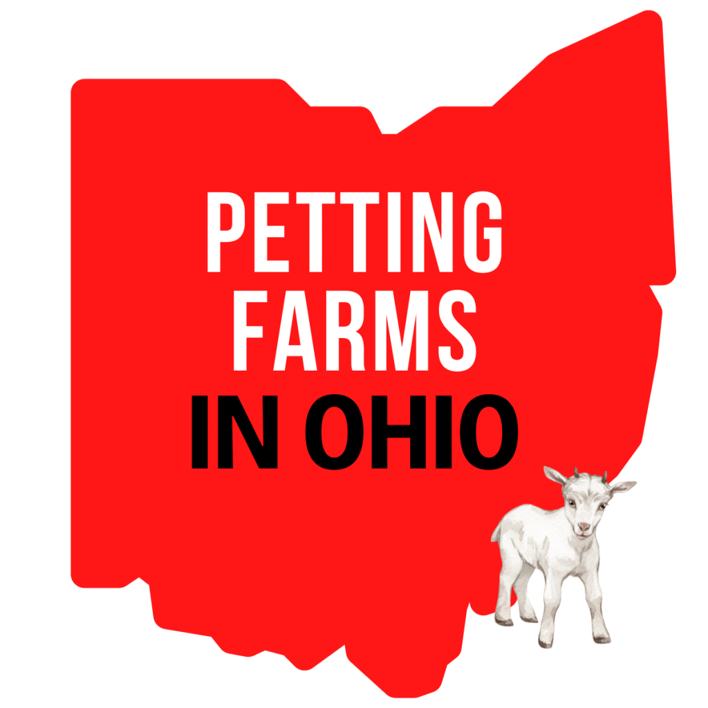 Things To Do In Springfield Ohio - Visit Ohio Today
