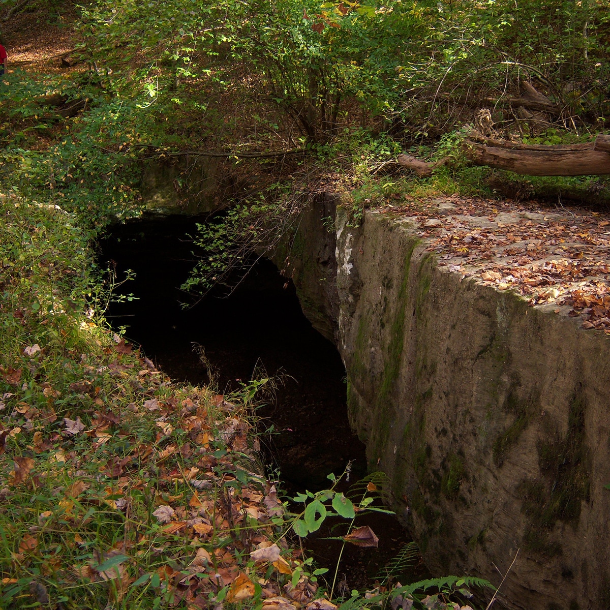 Rockbridge State Nature Preserve - Visit Ohio Today