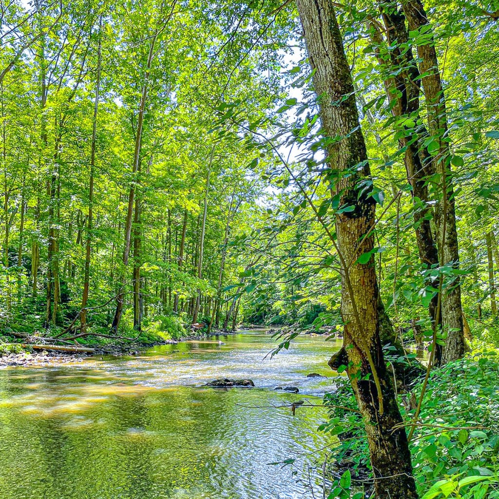 Clifton Gorge - Visit Ohio Today
