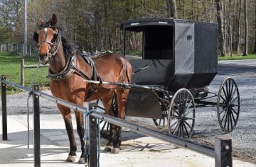 Things to Do in Berlin Ohio - Visit Ohio Today