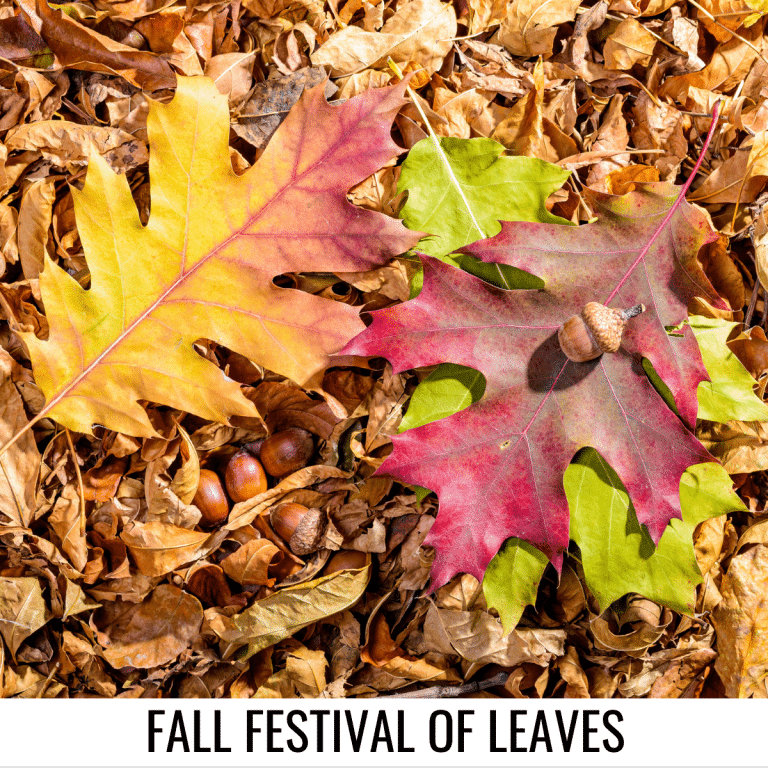 Fall Festival of Leaves - Visit Ohio Today