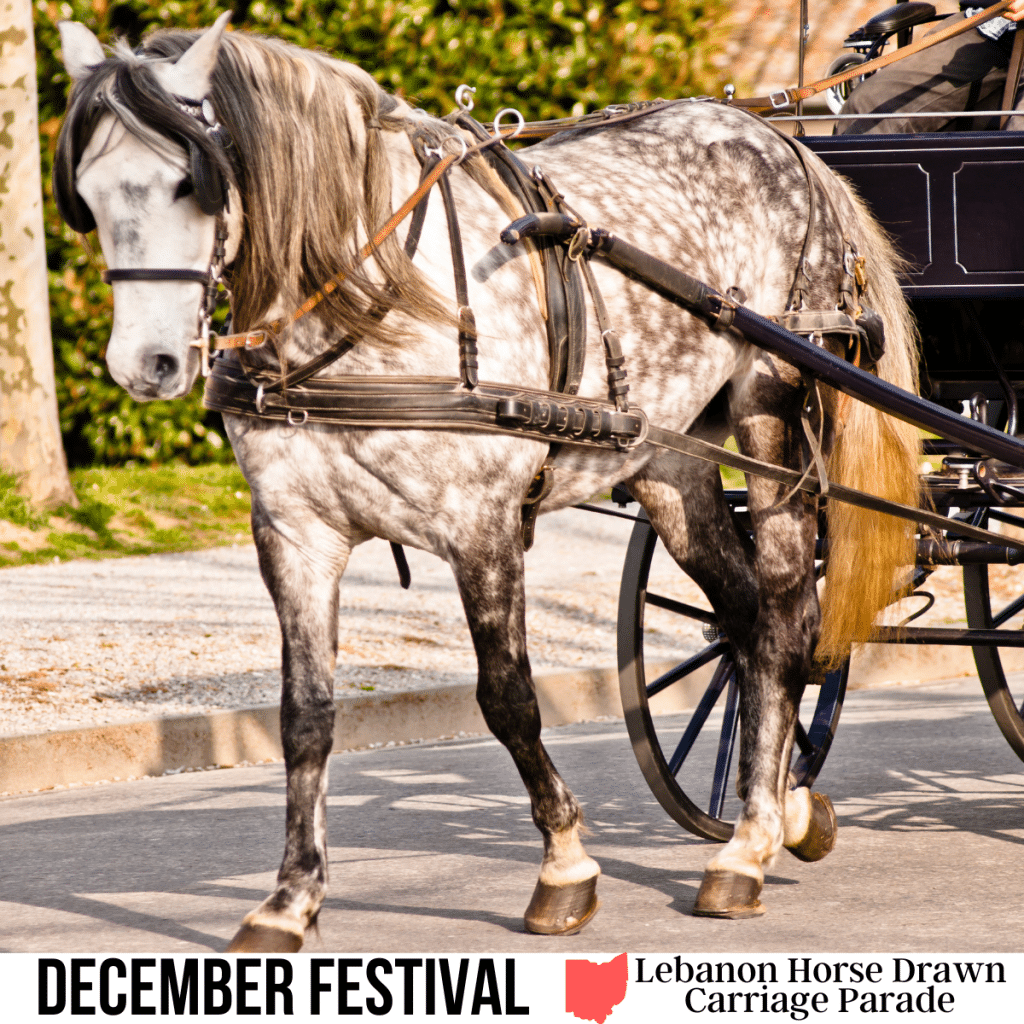 Carriage Rides in Ohio - Visit Ohio Today