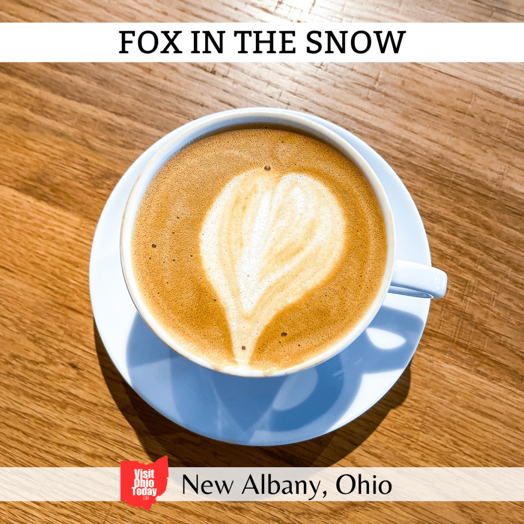 Fox In the Snow - Visit Ohio Today