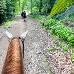 Uncle Buck’s Stable - Visit Ohio Today