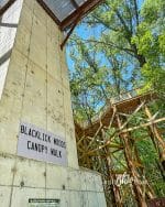 Blacklick Woods Canopy Walk - Visit Ohio Today