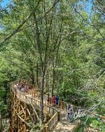 Blacklick Woods Canopy Walk - Visit Ohio Today
