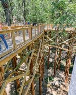 Blacklick Woods Canopy Walk - Visit Ohio Today