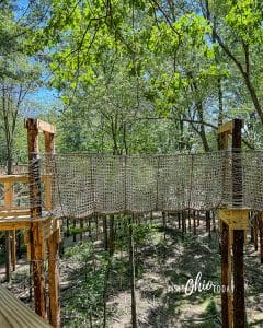 Blacklick Woods Canopy Walk - Visit Ohio Today