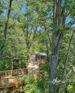 Blacklick Woods Canopy Walk - Visit Ohio Today