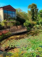 Holden Arboretum - Visit Ohio Today