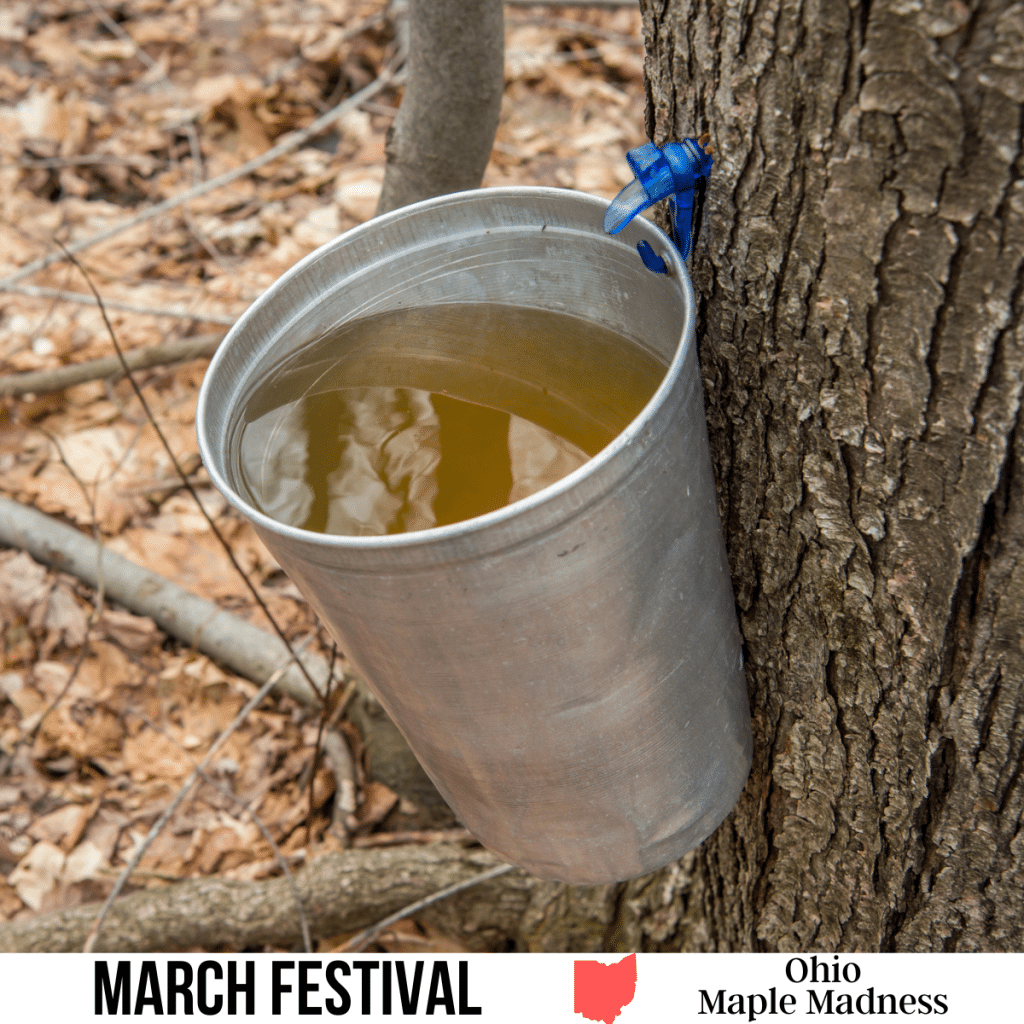 Ohio Maple Madness - 1 - Visit Ohio Today