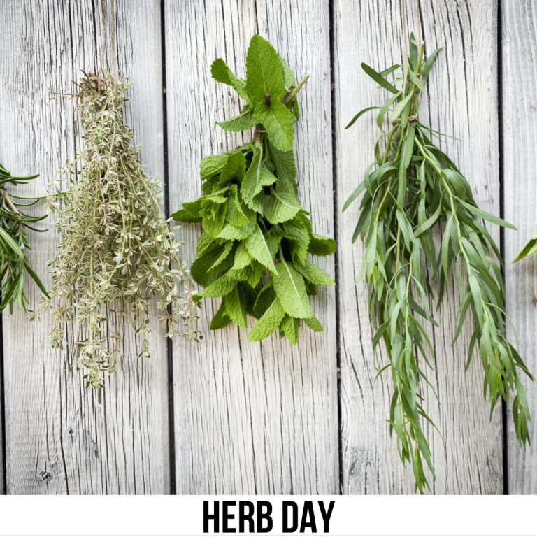 Herb Day - Visit Ohio Today
