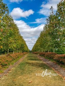 Cox Arboretum - Visit Ohio Today