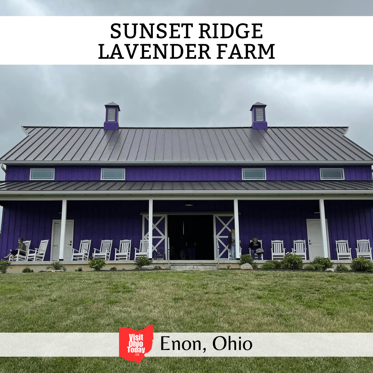 Sunset Ridge Lavender Farm - Visit Ohio Today